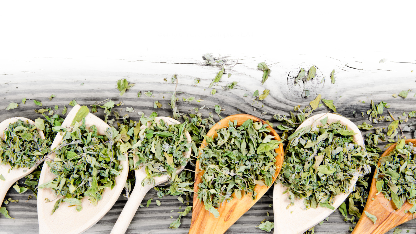 SourSopShop | Your One-Stop Destination For Soursop Wellness – Soursopshop